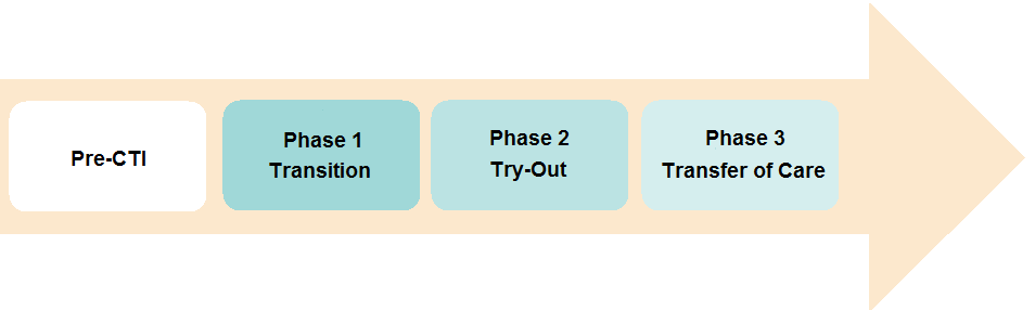 Critical Time Intervention | CTI Model | Critical Time Intervention